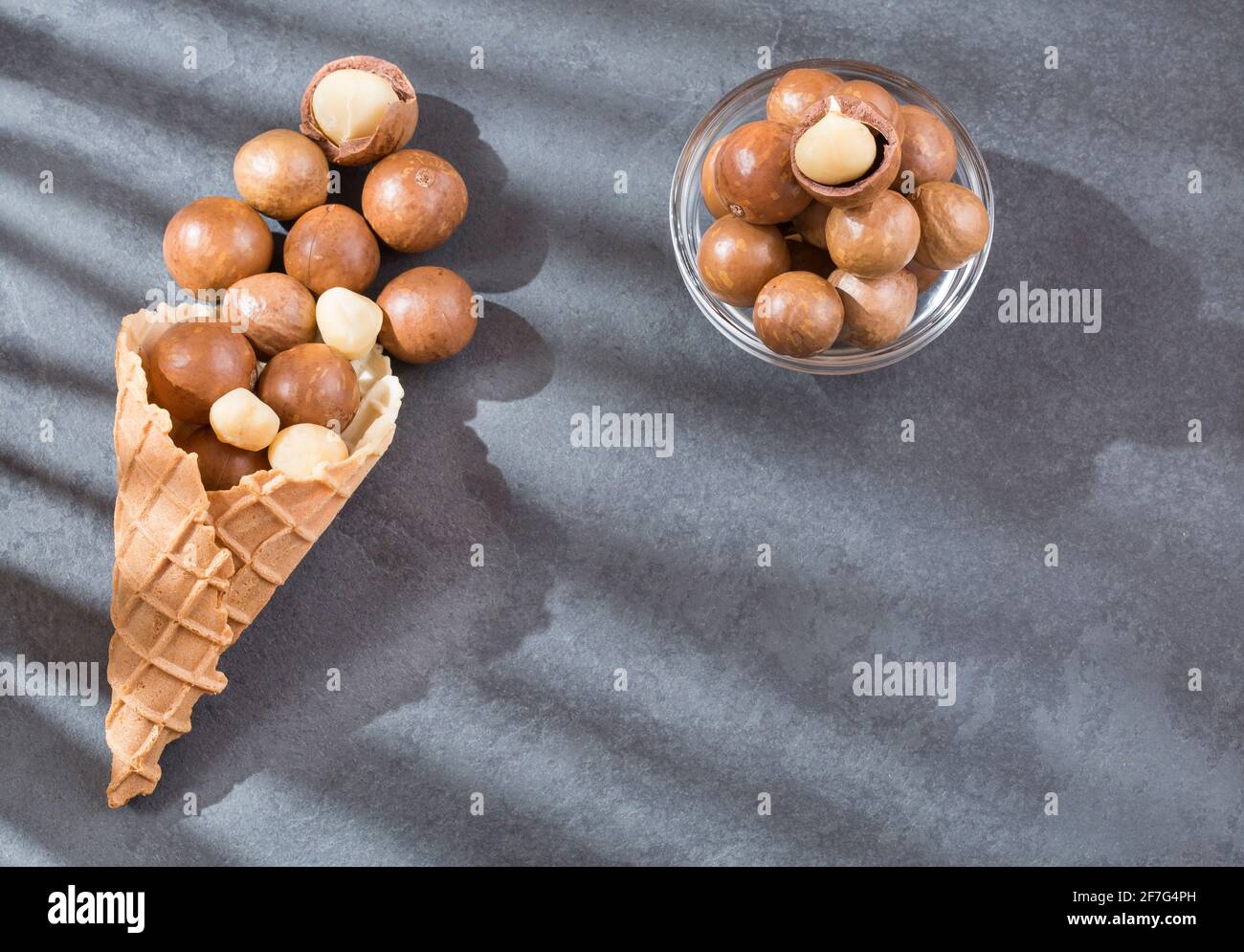 Macadamia nuts - Macadamia integrifolia Stock Photo - Alamy