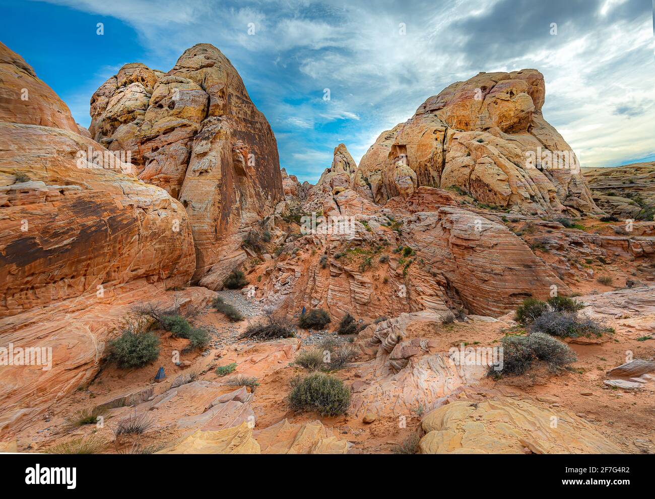 The wave an amazing geological rock formation in the North Coyote ...