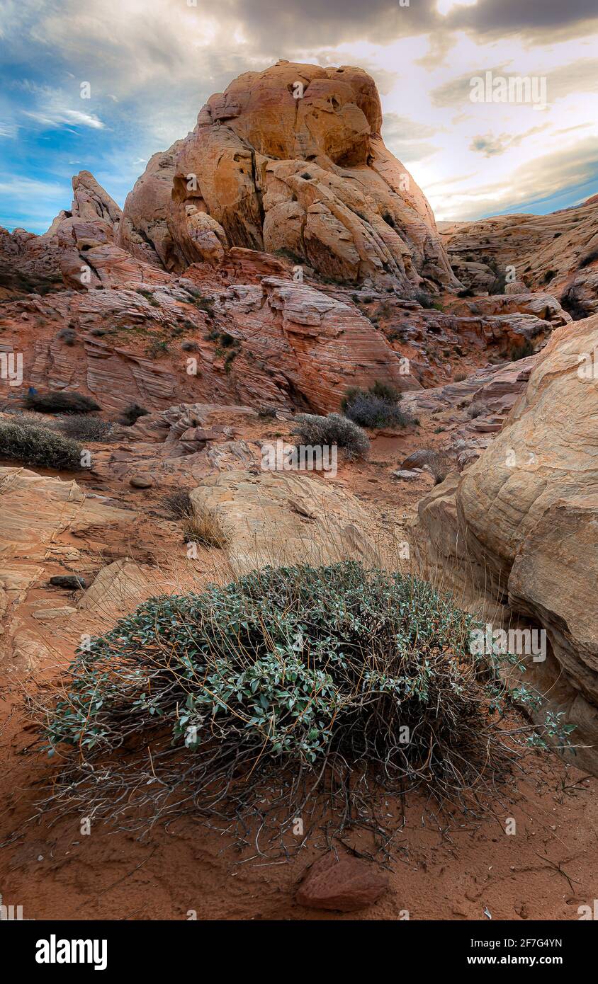 The wave an amazing geological rock formation in the North Coyote ...