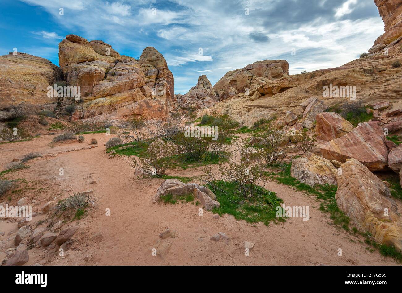 The wave an amazing geological rock formation in the North Coyote ...