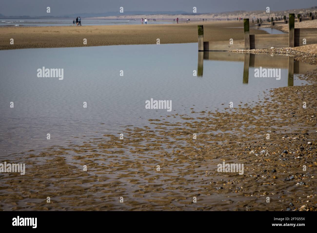 Groynes on the beach at Camber, East Sussex, England Stock Photo - Alamy