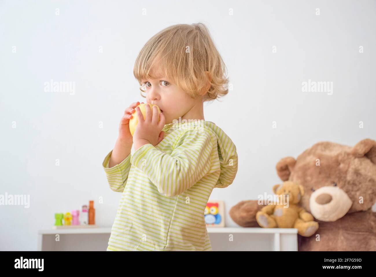 Cute happy child boy having fun eating a big fresh yellow apple fruit ...