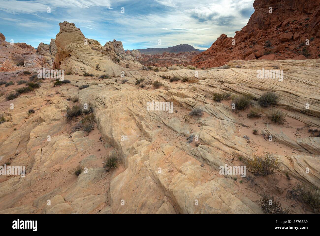 The wave an amazing geological rock formation in the North Coyote ...