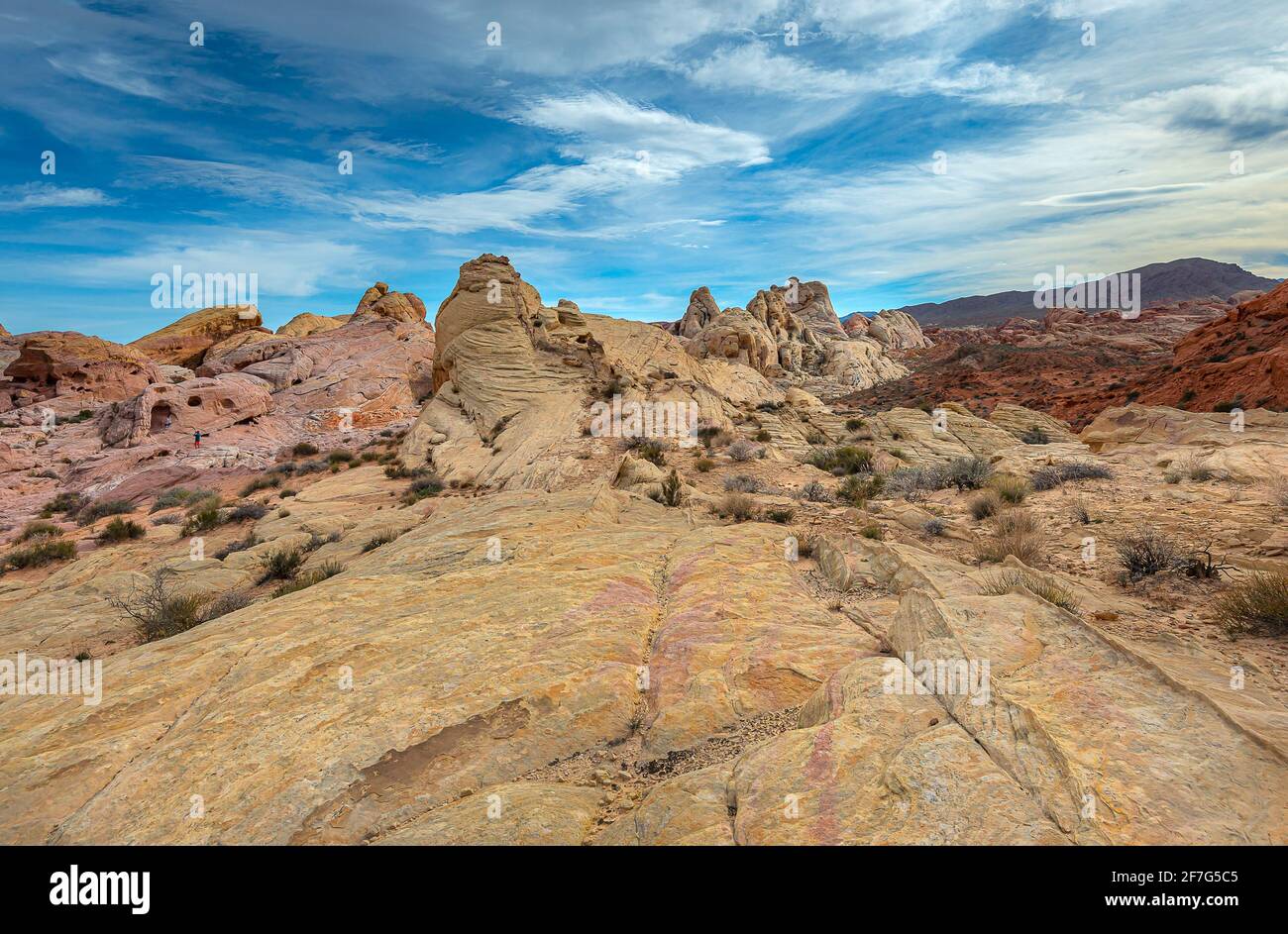 The wave an amazing geological rock formation in the North Coyote ...