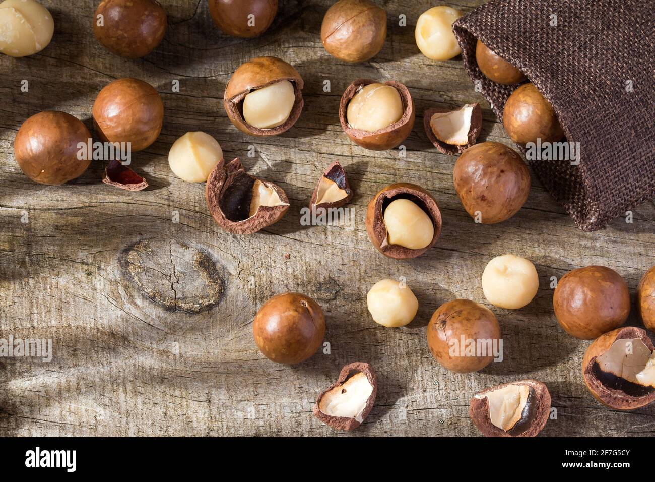 Macadamia nuts - Macadamia integrifolia Stock Photo - Alamy