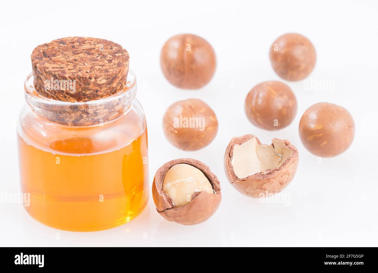 Macadamia nuts oil australian hi-res stock photography and images - Alamy
