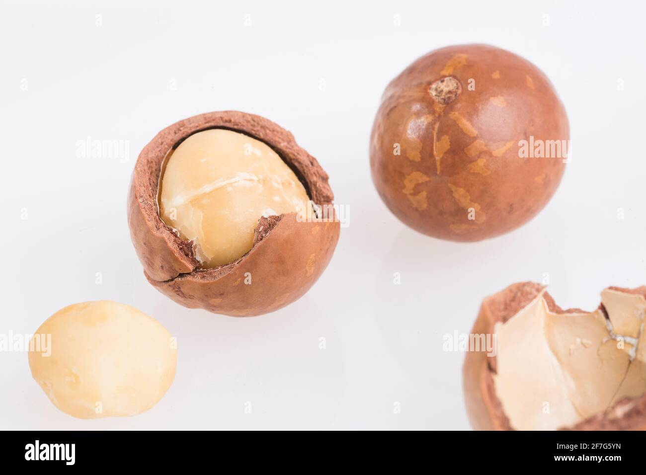 Macadamia nuts dried fruit, very nutritious and energetic - Macadamia ...