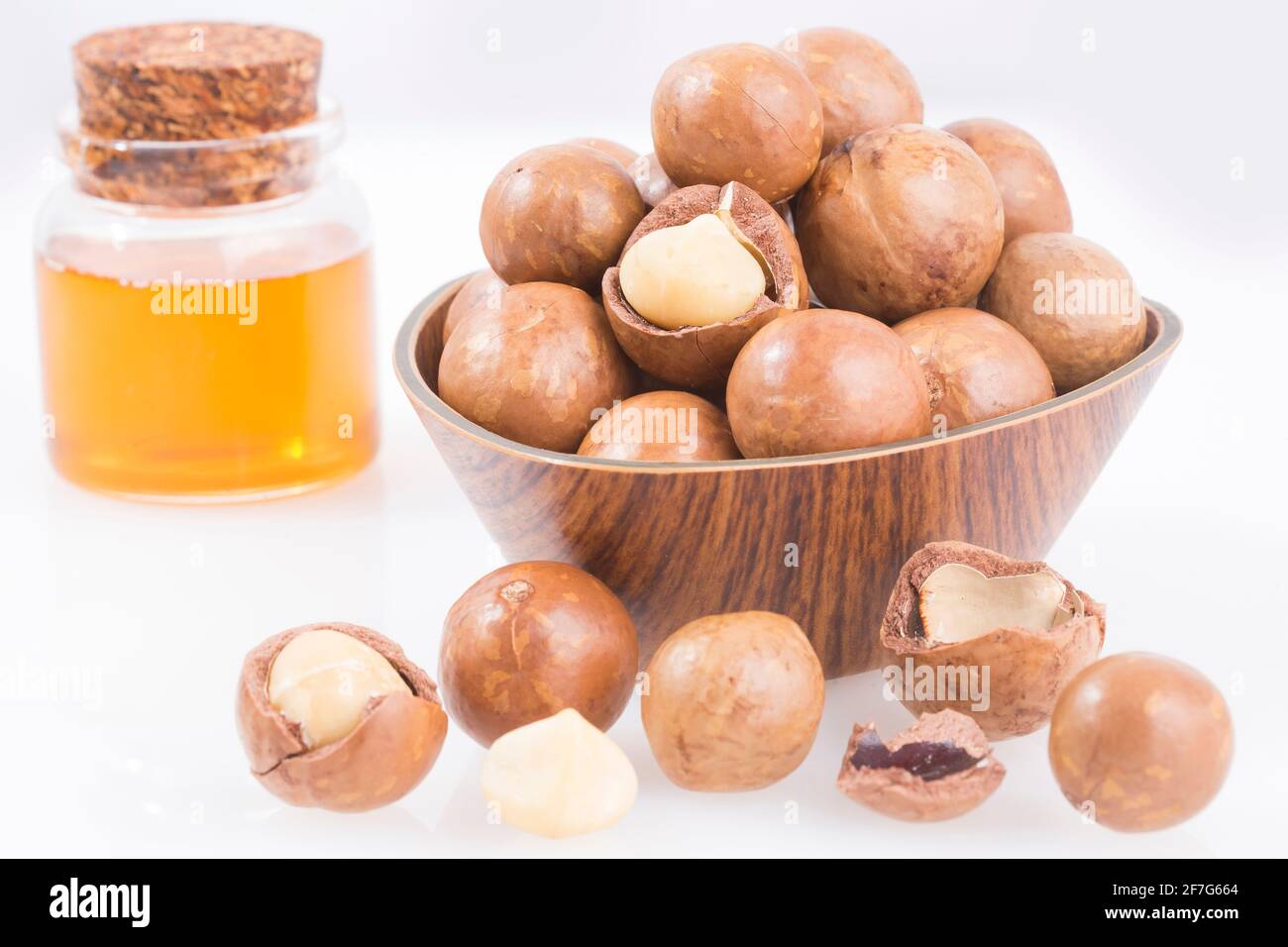 Macadamia nuts and oil - Macadamia integrifolia Stock Photo - Alamy