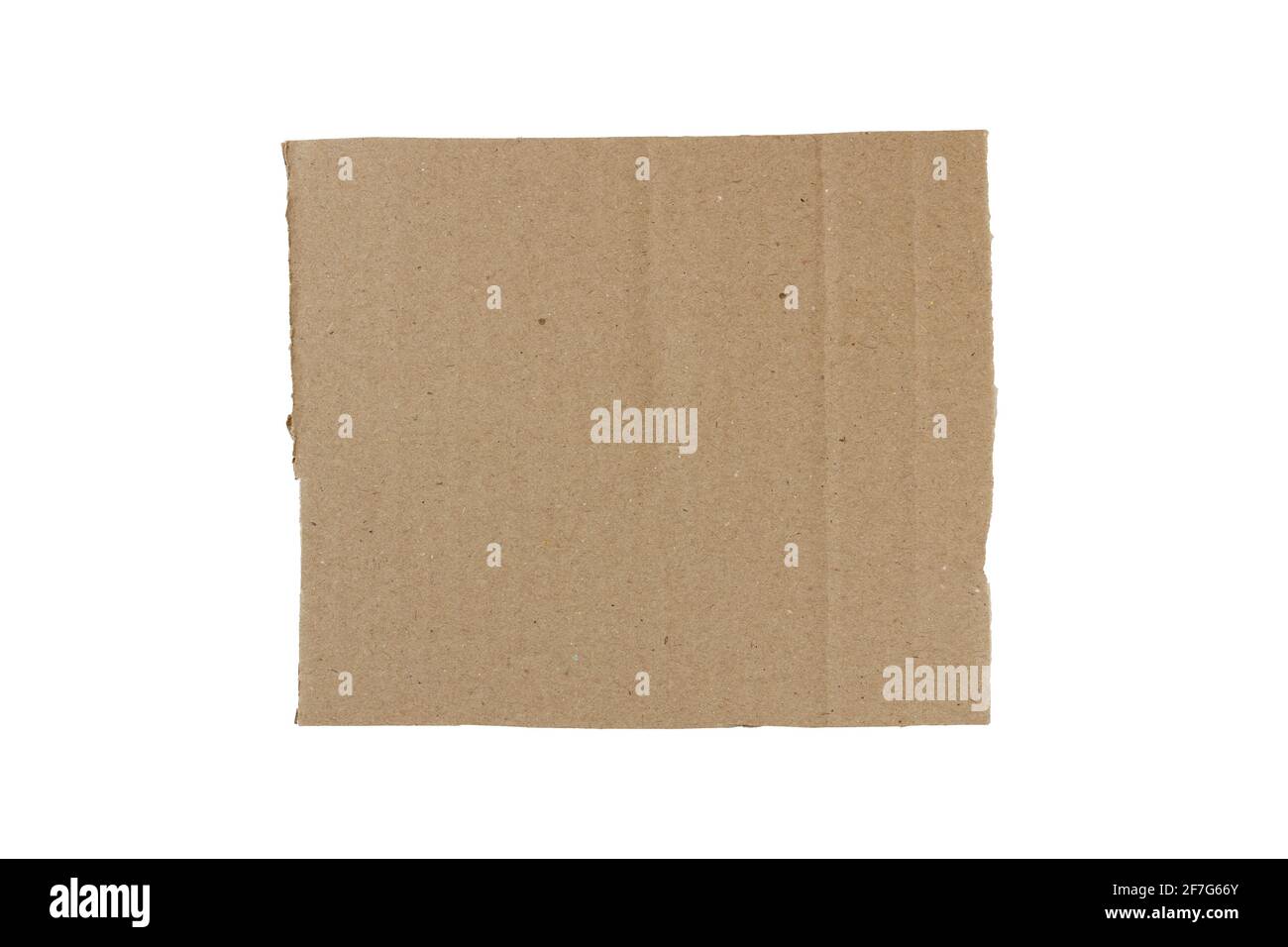 Ripped piece of cardboard isolated on white background. Cardboard with ...