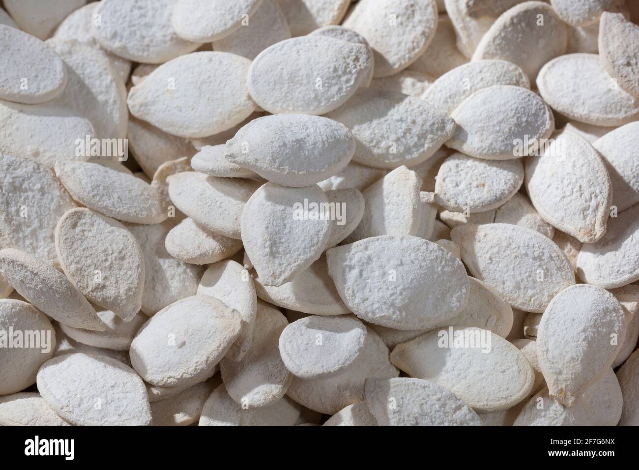 Organic white pumpkin seeds - Cucurbita maxima Stock Photo - Alamy