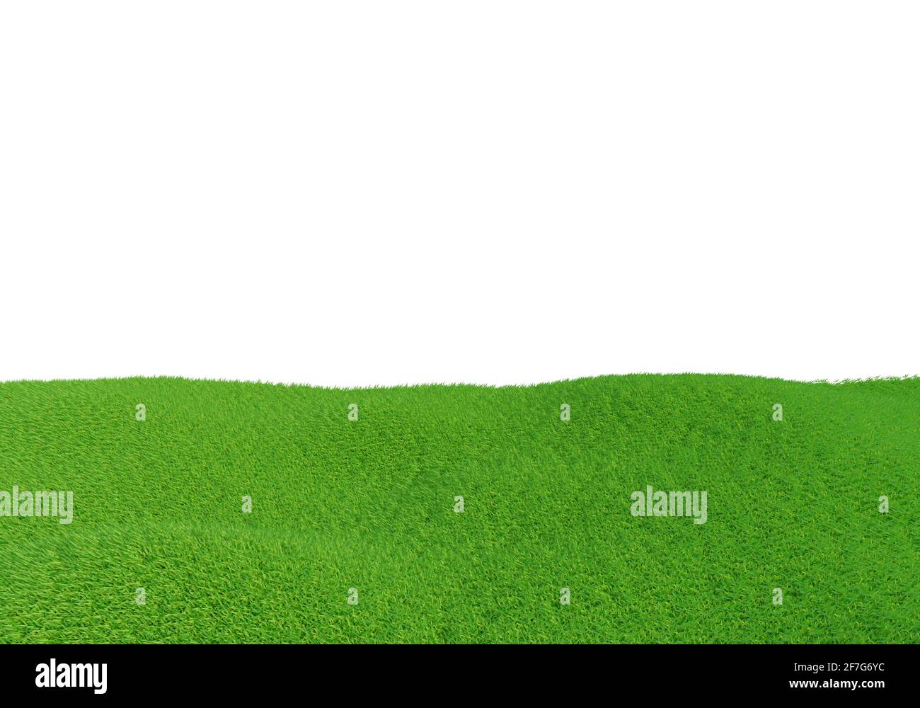 3d rendering. Green grass field isolated on white background Stock ...