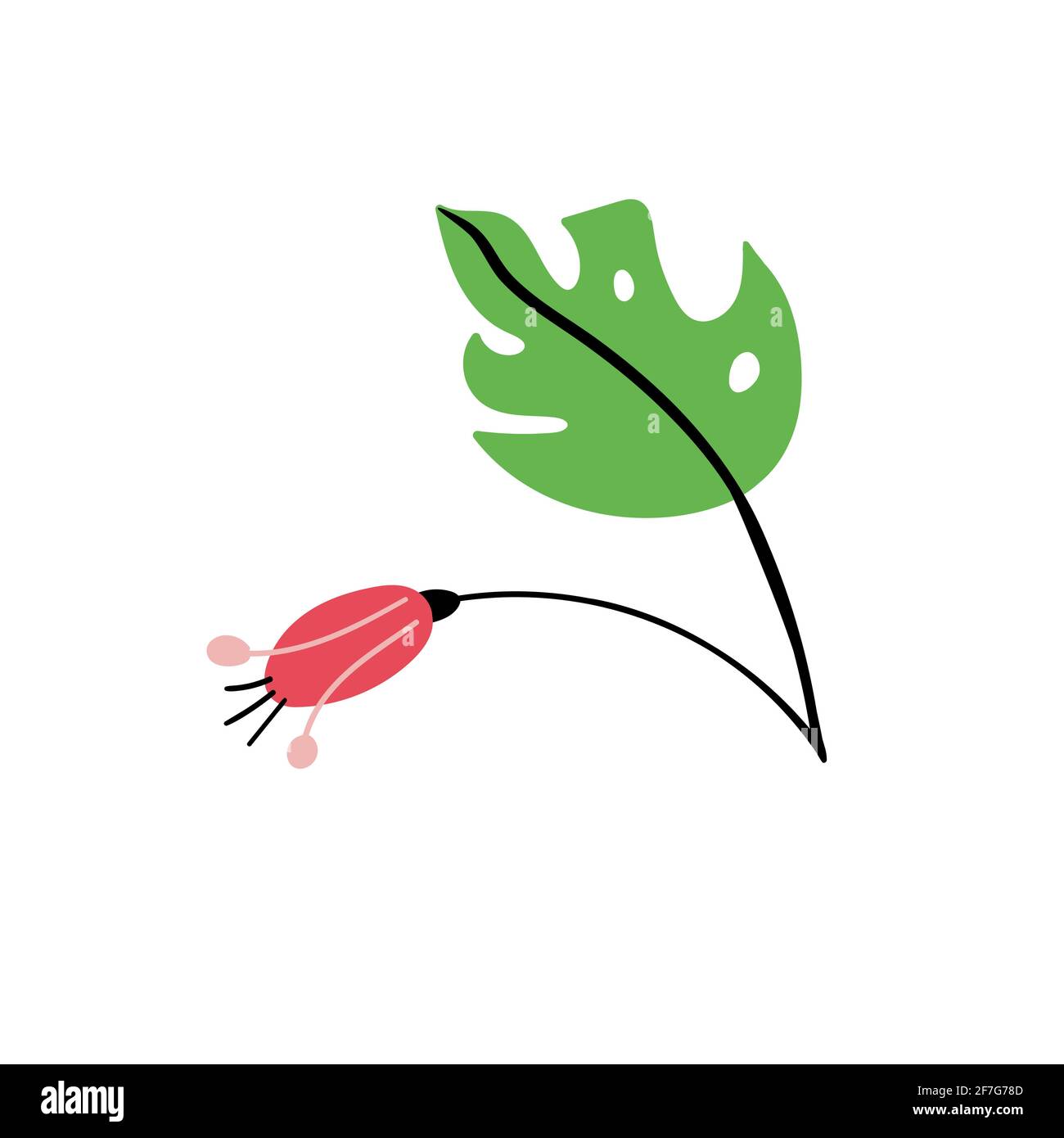 Exotic tropical Cut Out Stock Images & Pictures - Alamy