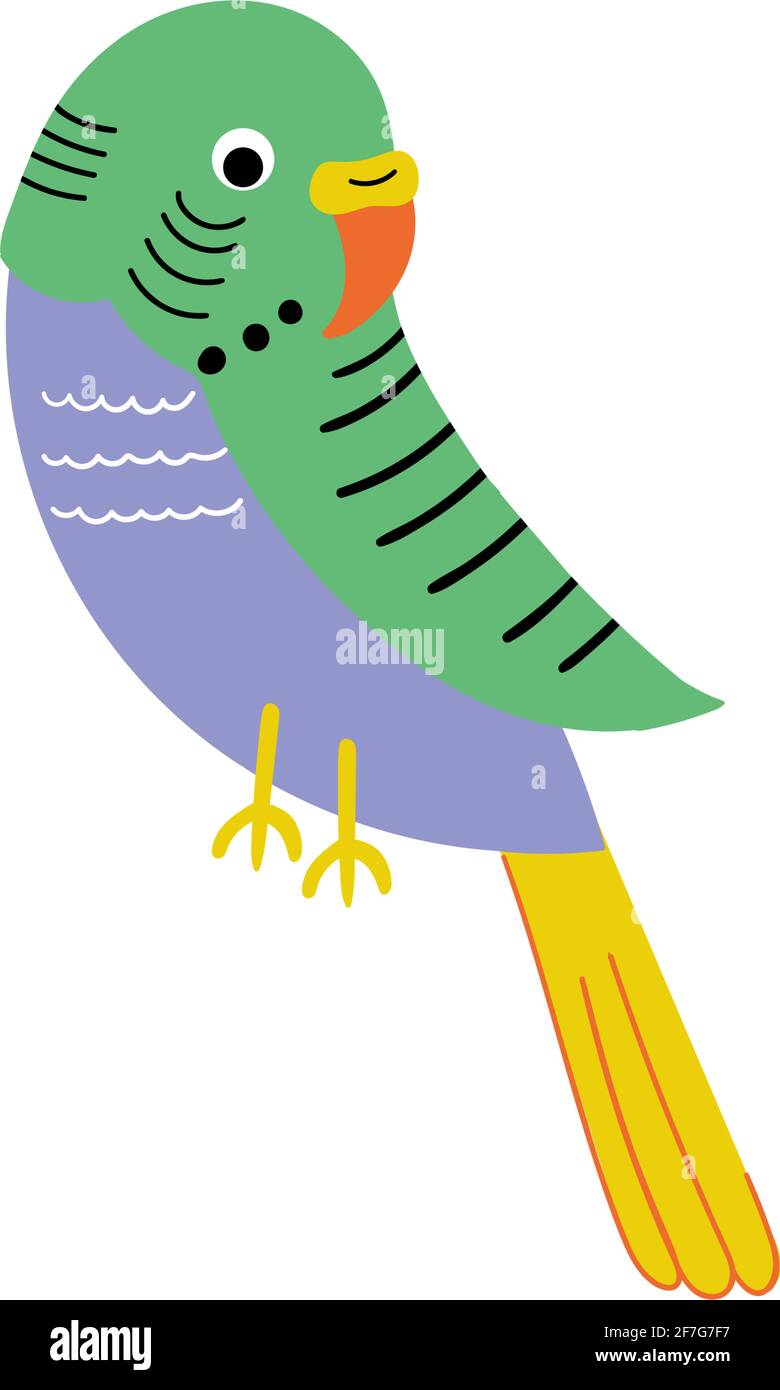 Exotic pet at home Stock Vector Images - Alamy