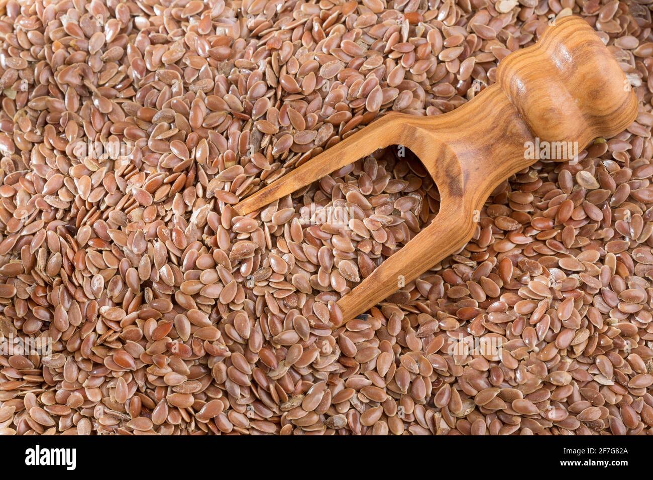 Linseed organic seeds - Linum usitatissimum Stock Photo - Alamy