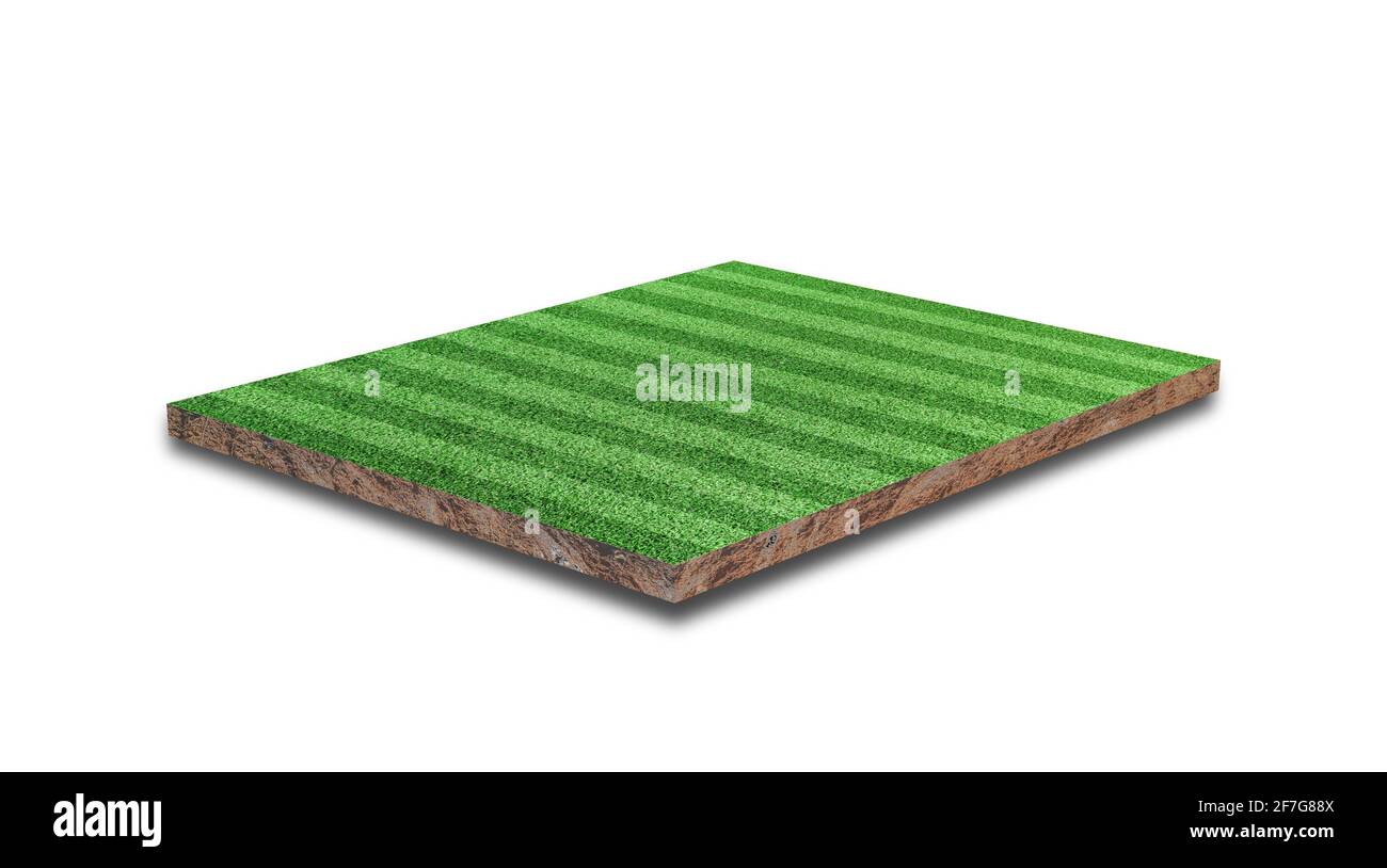 3D Rendering. Stripe of soccer lawn field, Green grass football field ...