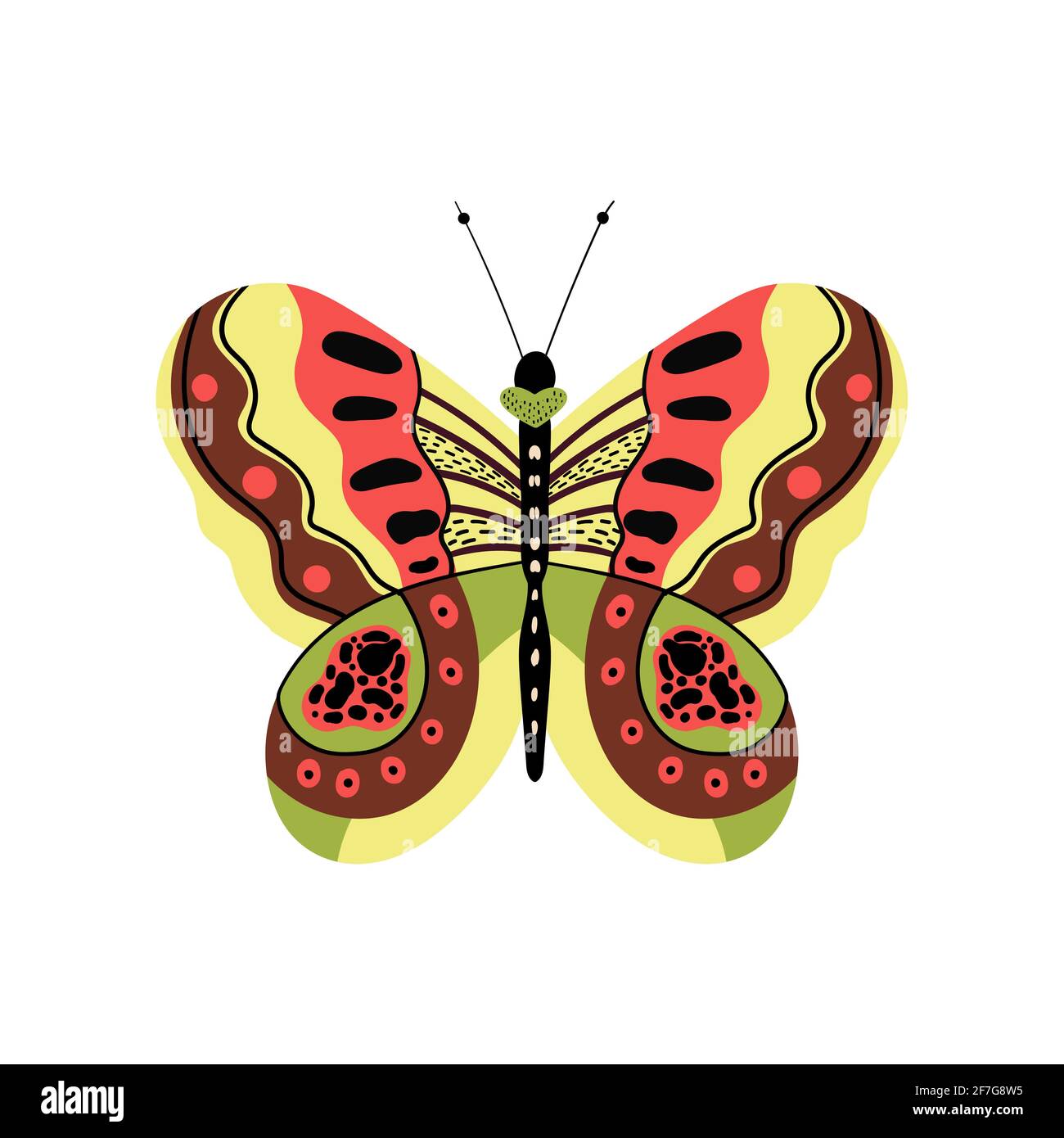 Butterfly abstract pattern on wing Insect vector Stock Vector Image ...