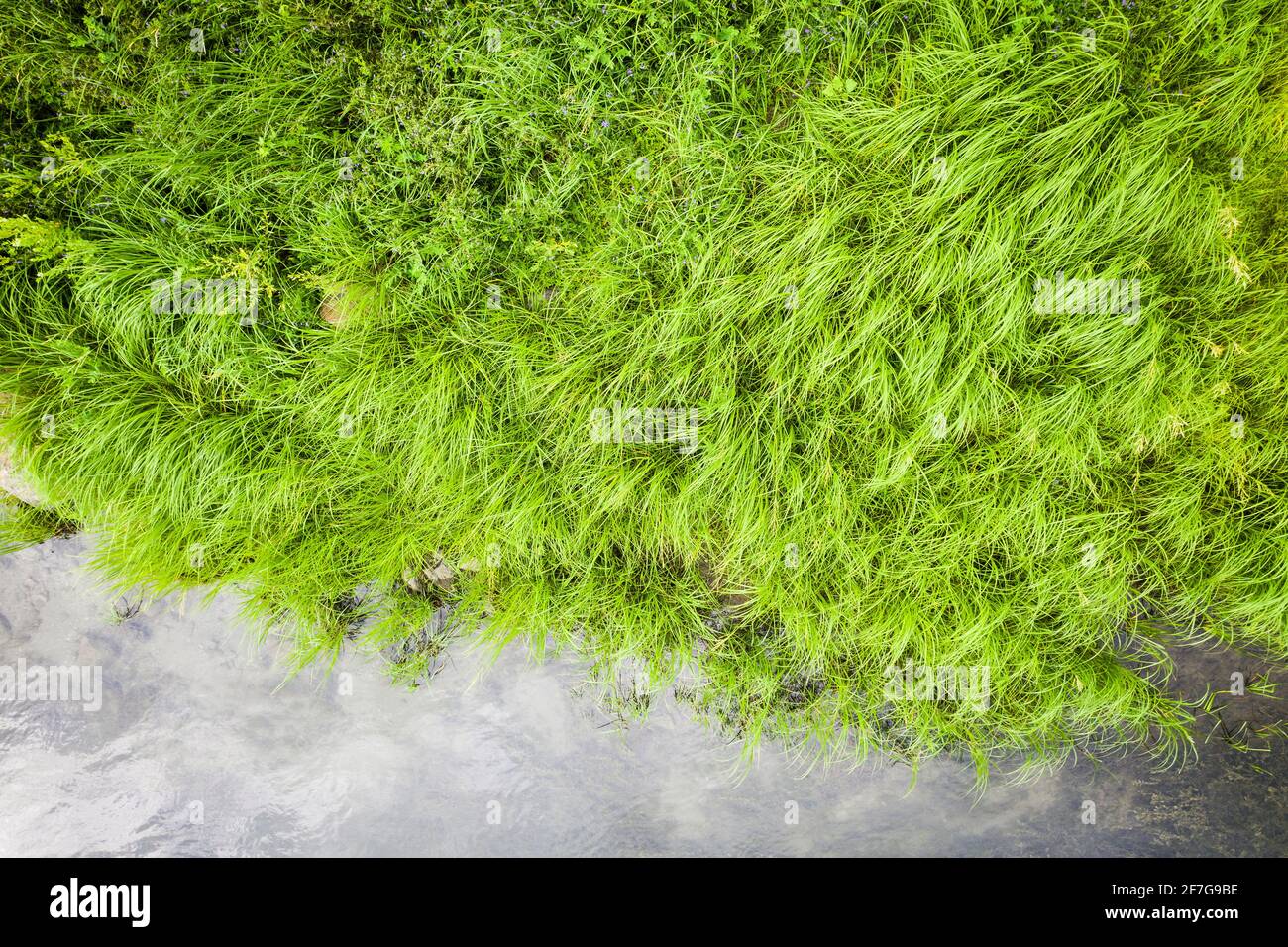 Aerial view of island green shoreline on the St-Lawrence River Stock ...