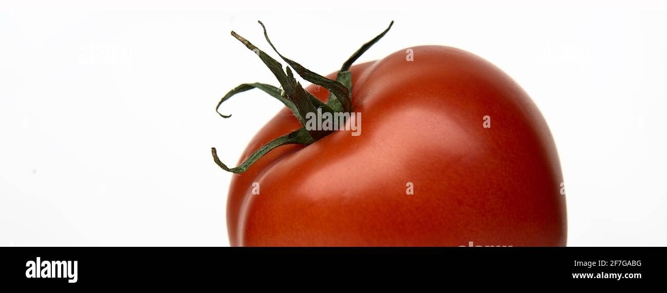 Indian tomato plant hi-res stock photography and images - Alamy