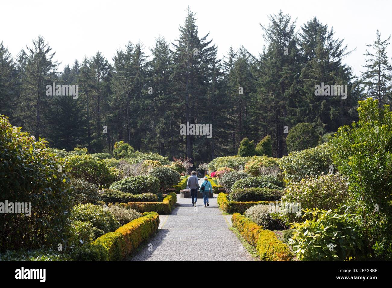 Two people walking in the botanical garden at Shore Acres State Park in ...