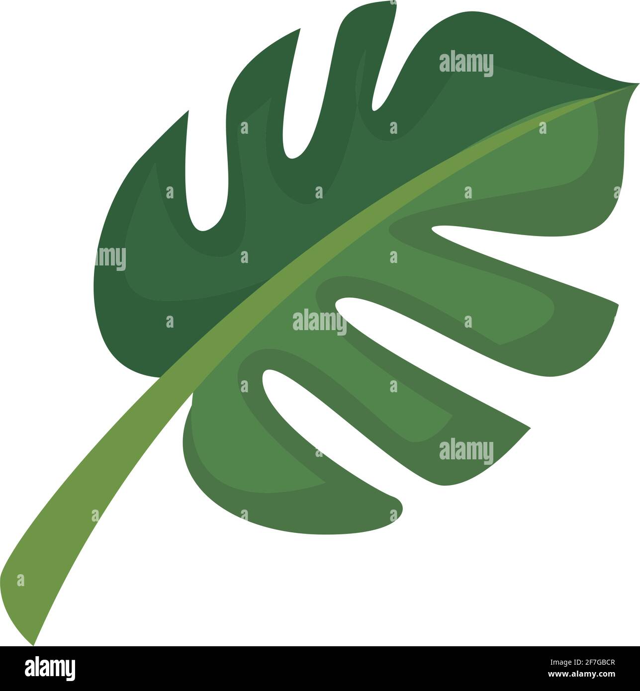 natural leaf on white background Stock Vector Image & Art - Alamy