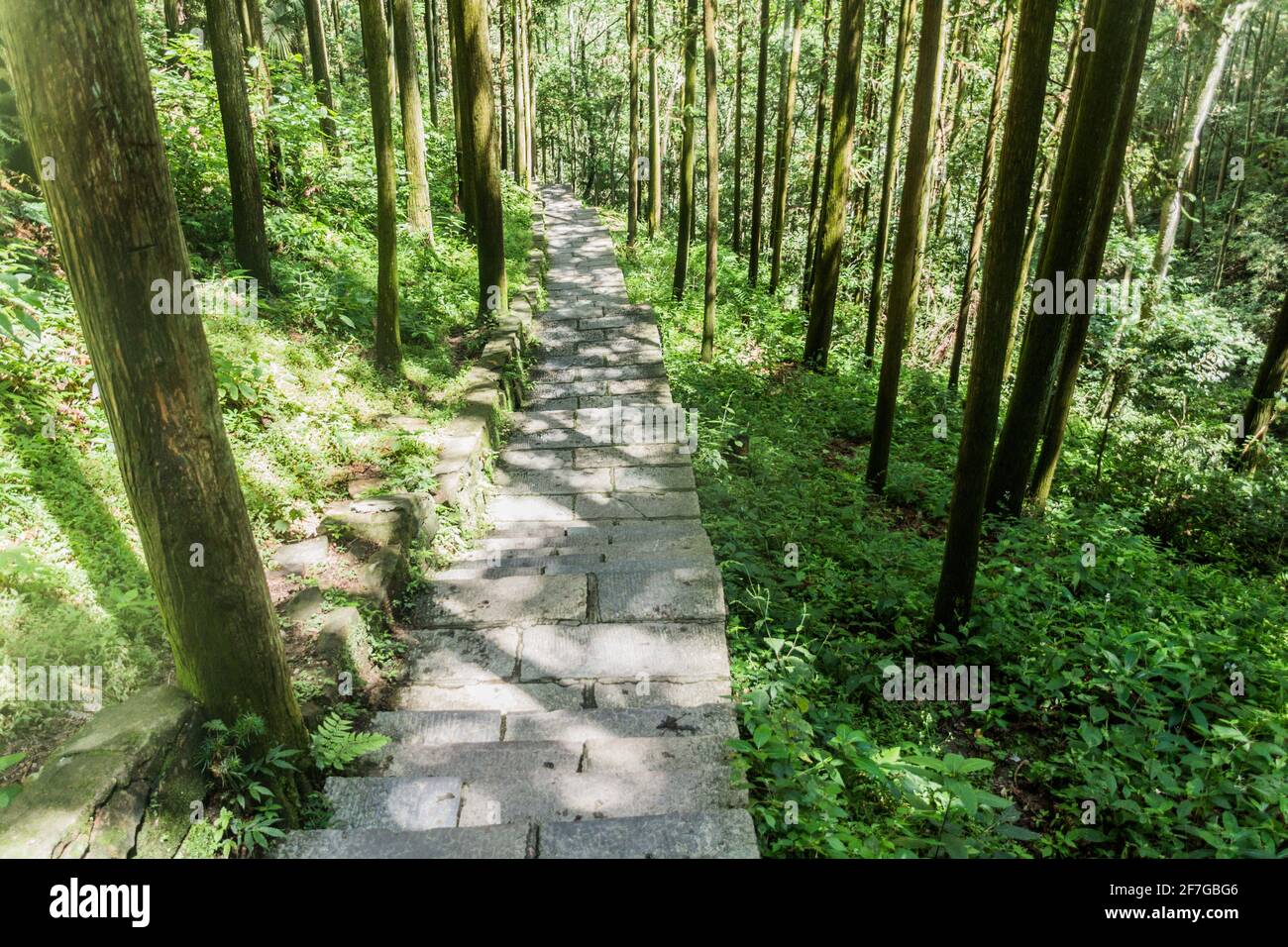 Hunan, china landscape hi-res stock photography and images - Alamy