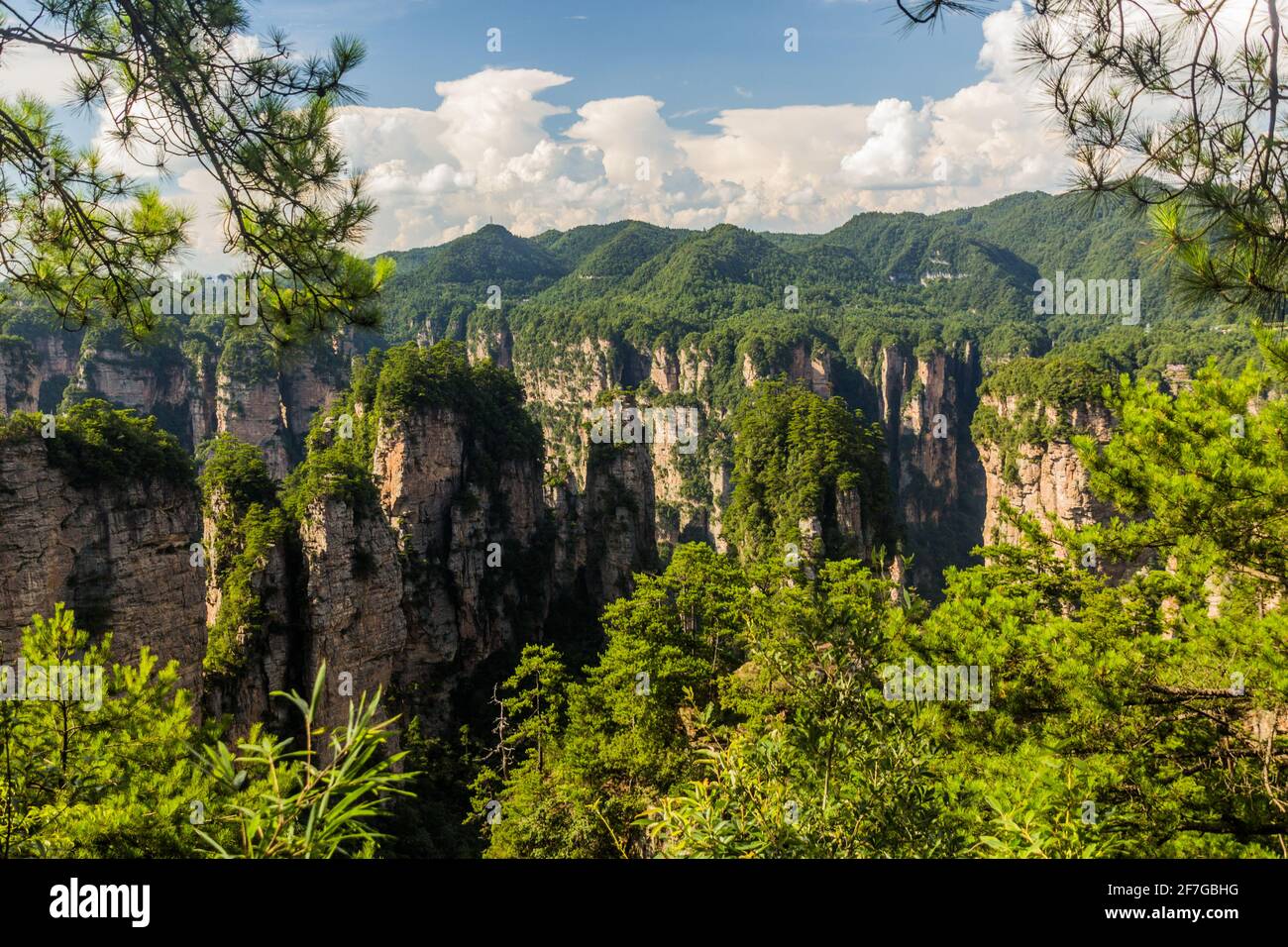 Hunan, china landscape hi-res stock photography and images - Alamy