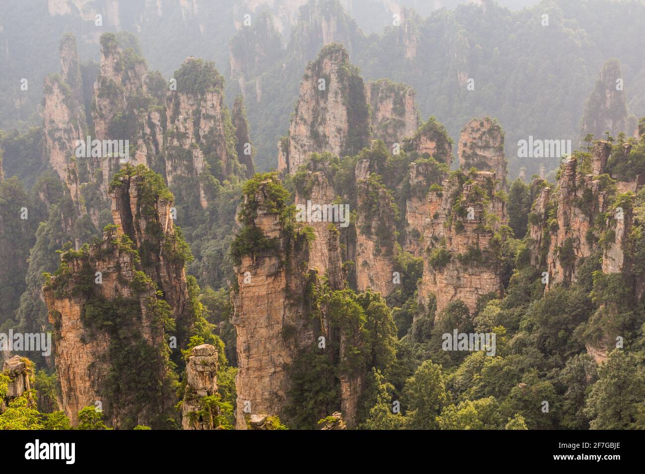 Aerial view of sandstone pillars in Wulingyuan Scenic and Historic ...