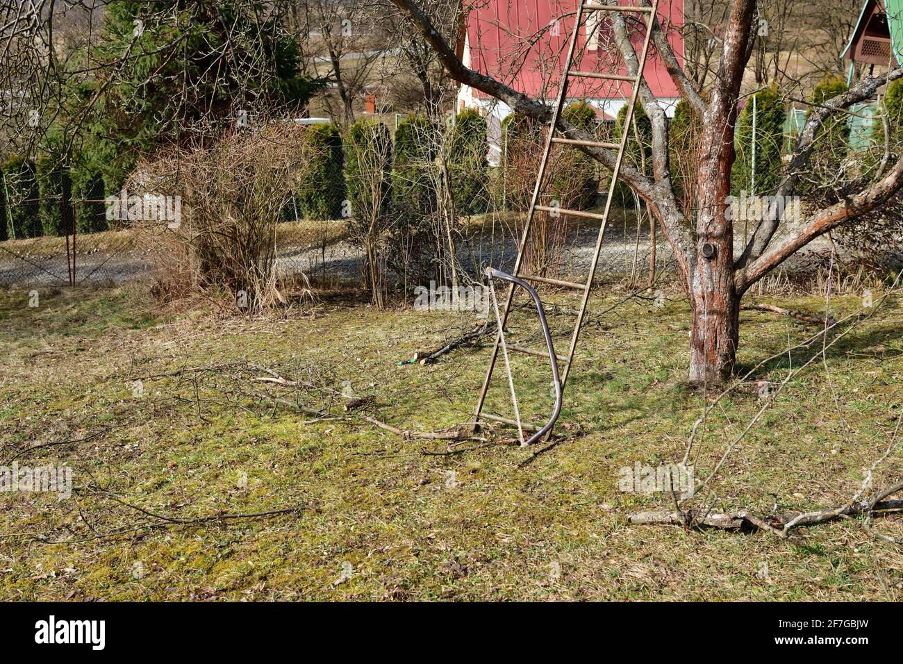 Garden tools for treating trees in spring Stock Photo - Alamy