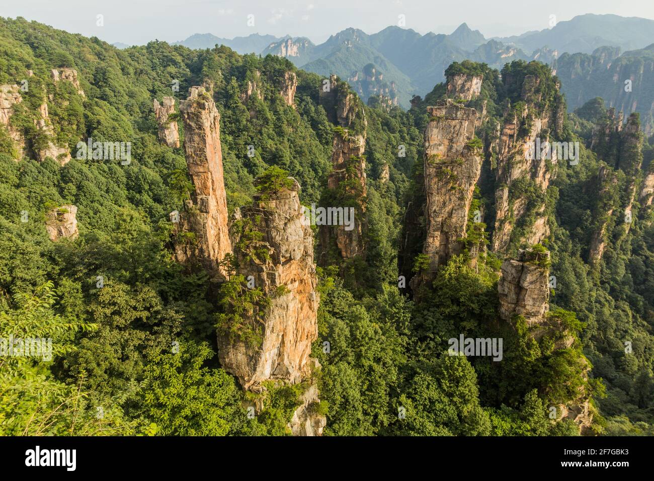 Sandstone pillar landscape in Wulingyuan Scenic and Historic Interest ...