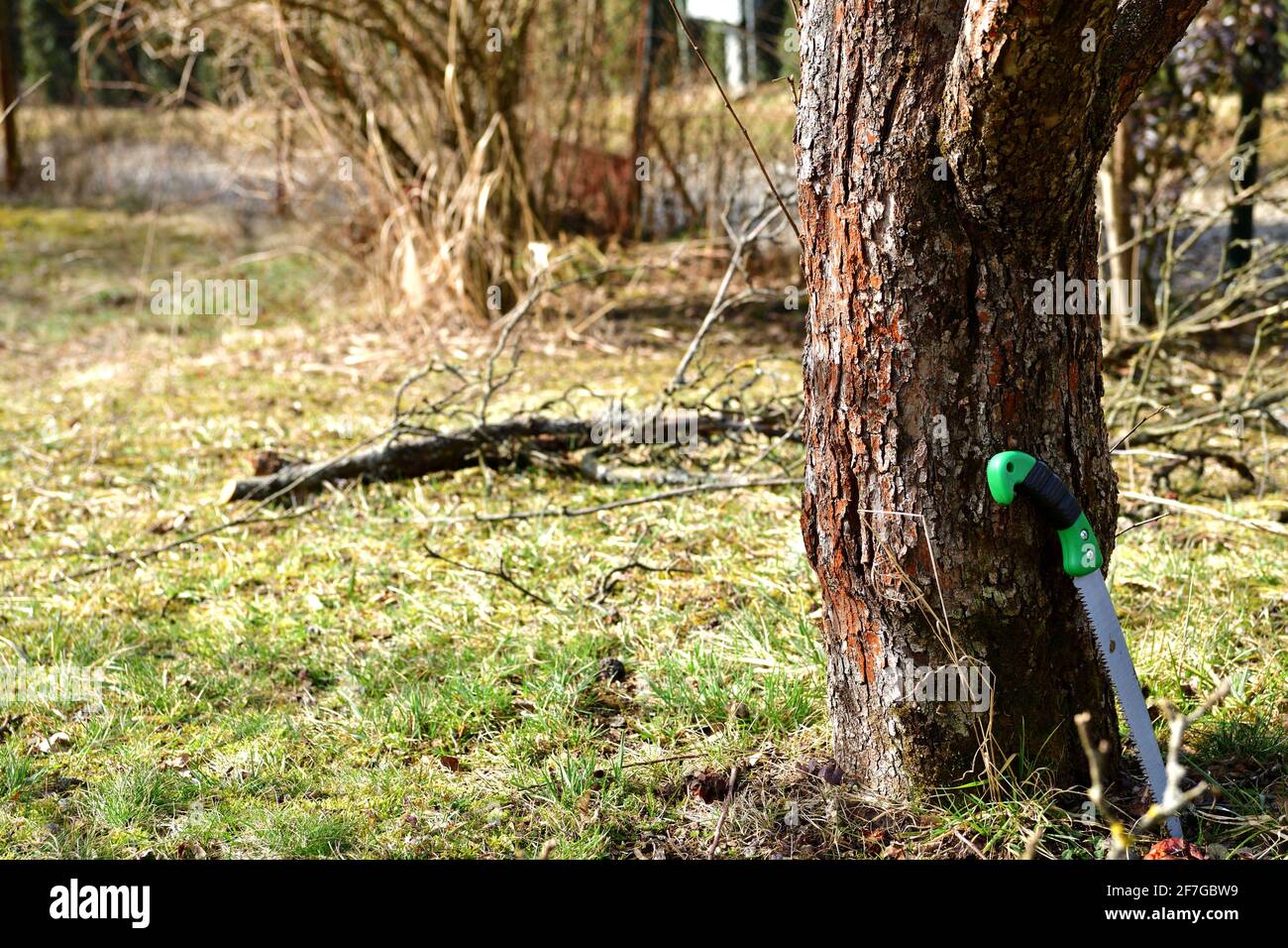 Garden tools for treating trees in spring Stock Photo - Alamy
