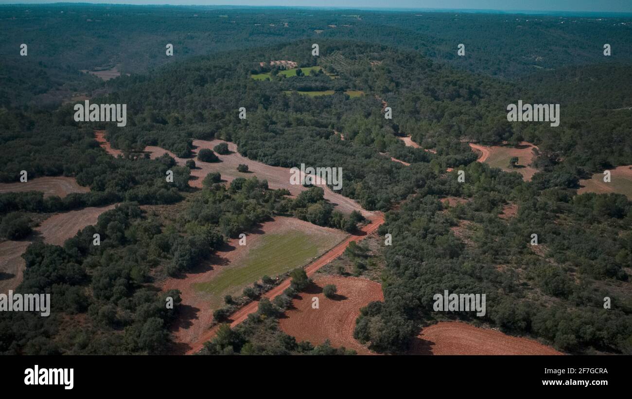 Aerial view of oak trees hi-res stock photography and images - Alamy