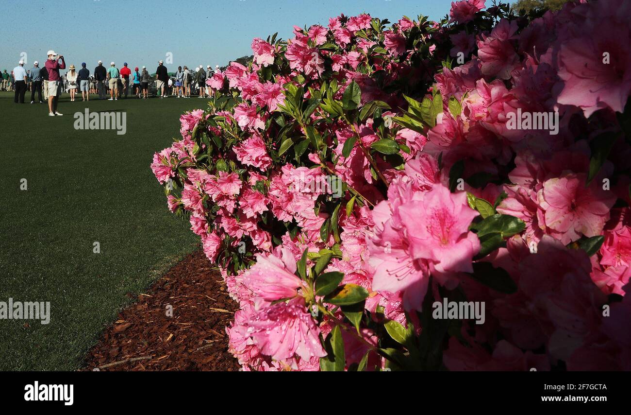 Augusta national golf hi-res stock photography and images - Alamy