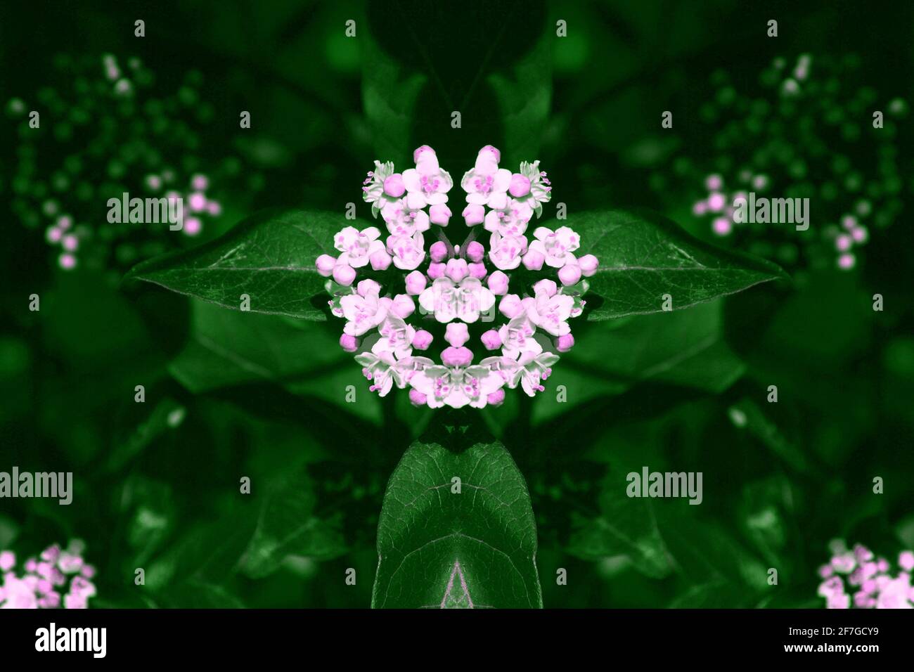 Lila neon hi-res stock photography and images - Alamy