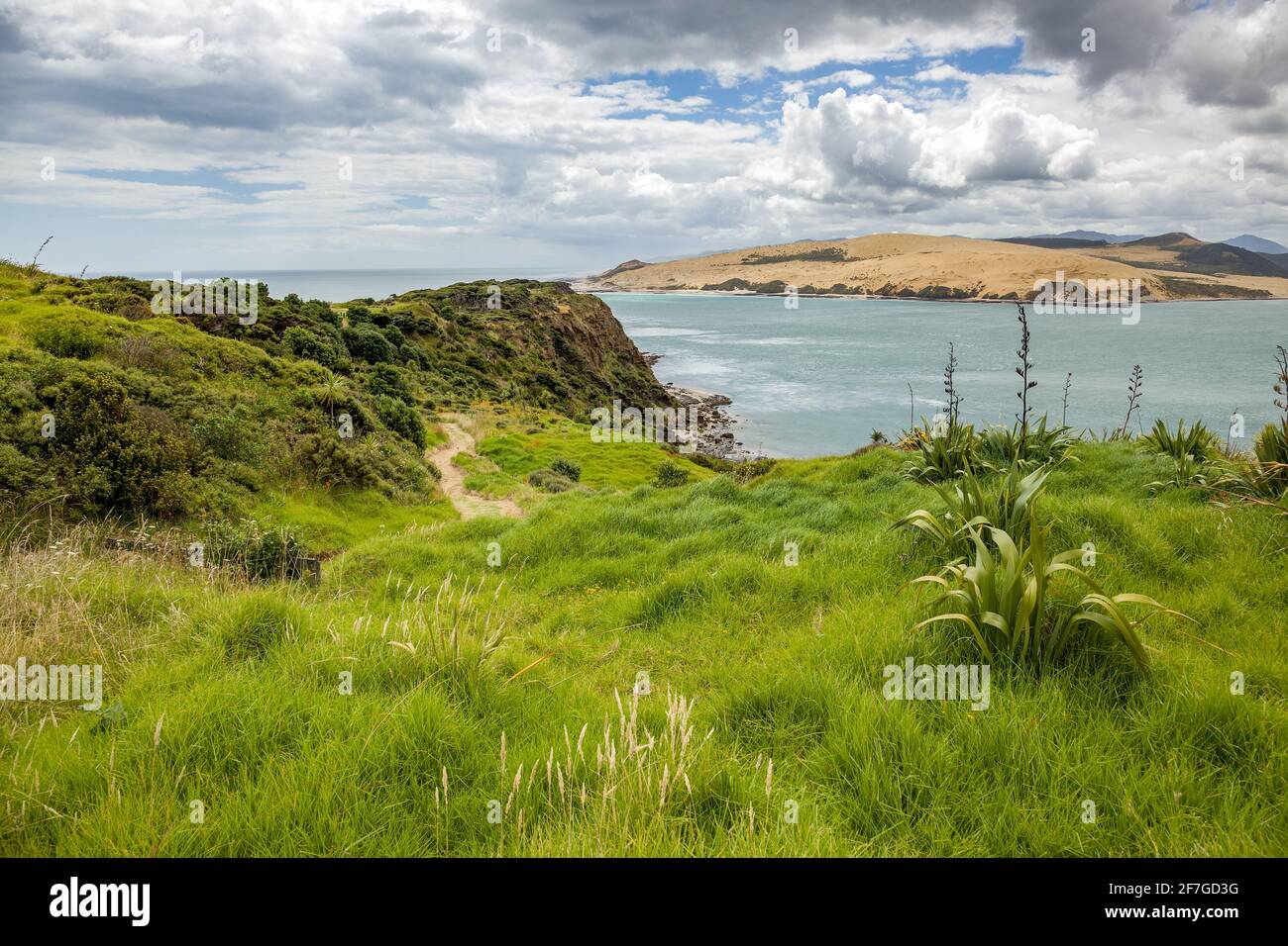 Arai te uru hi-res stock photography and images - Alamy