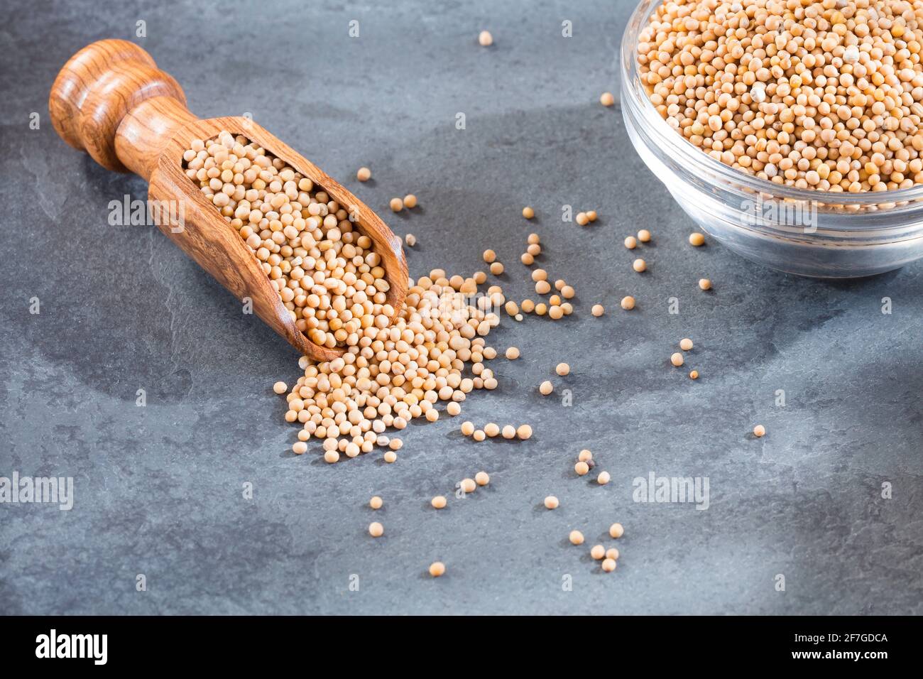 Mustard seeds - Sinapis alba. Top view Stock Photo - Alamy