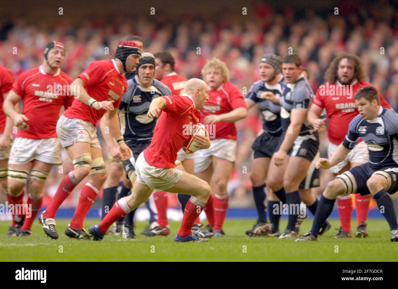 David shanklin hi-res stock photography and images - Alamy