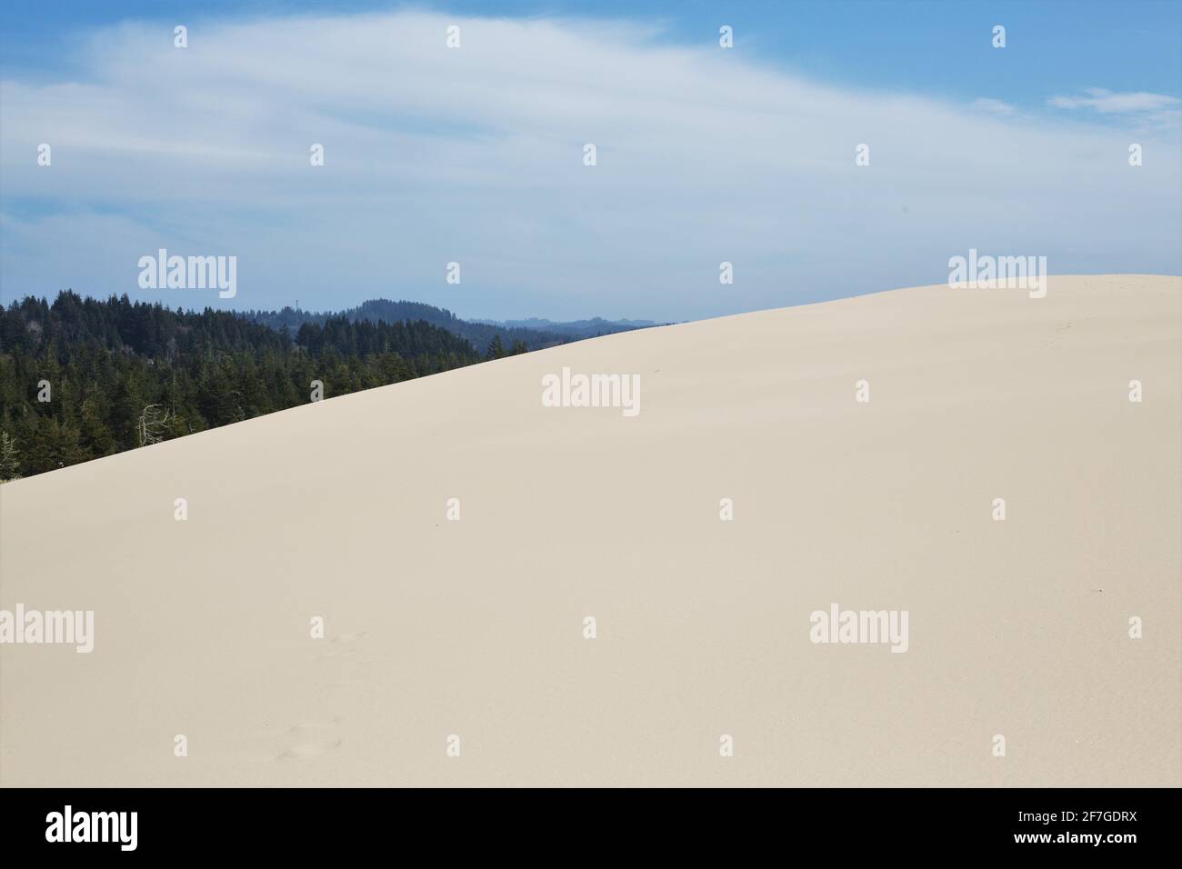 Reedsport oregon hi-res stock photography and images - Alamy