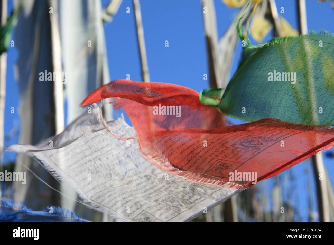 Blow snake hi-res stock photography and images - Alamy