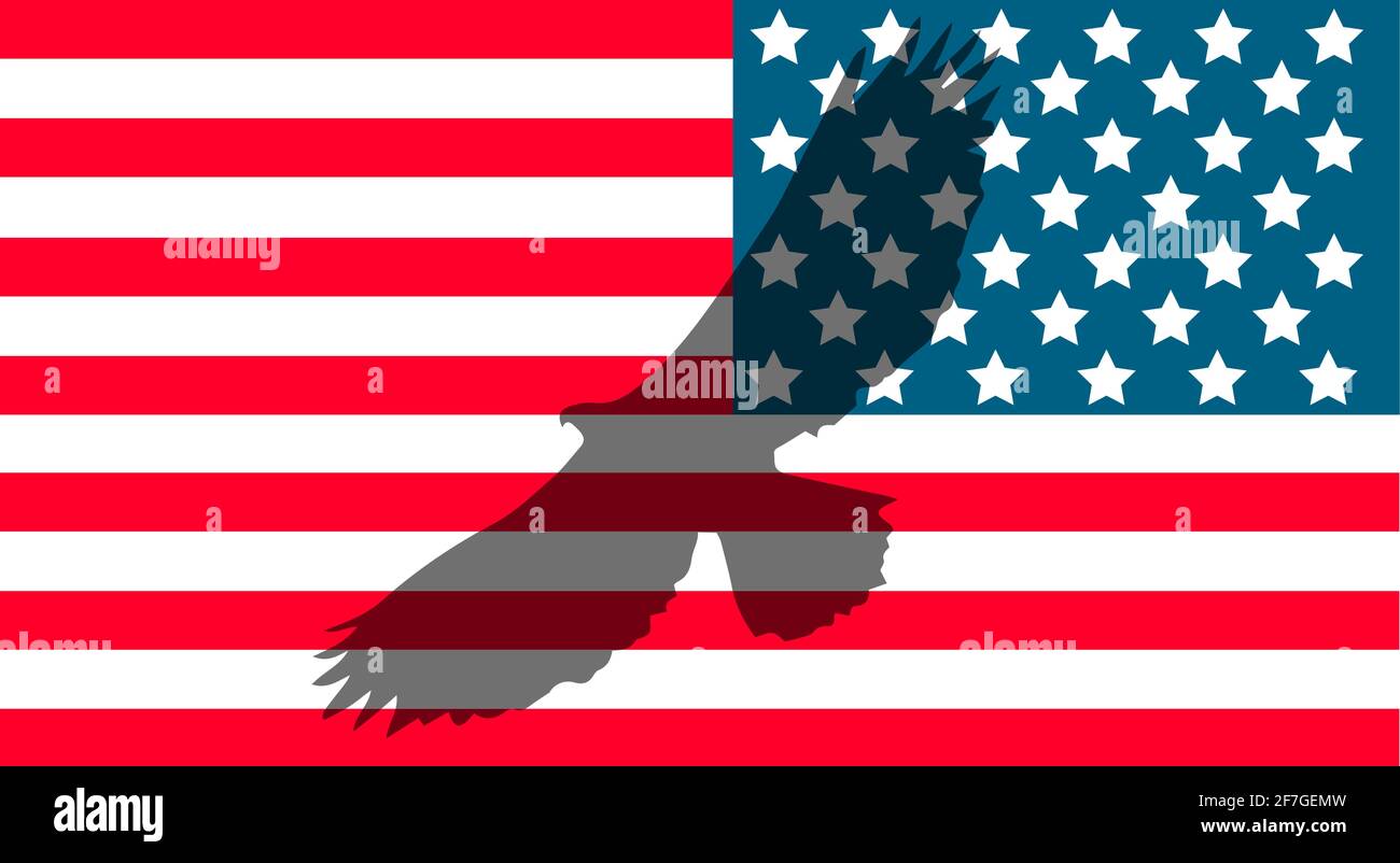 Bald American eagle and USA flag. US Independence Day. Vector ...