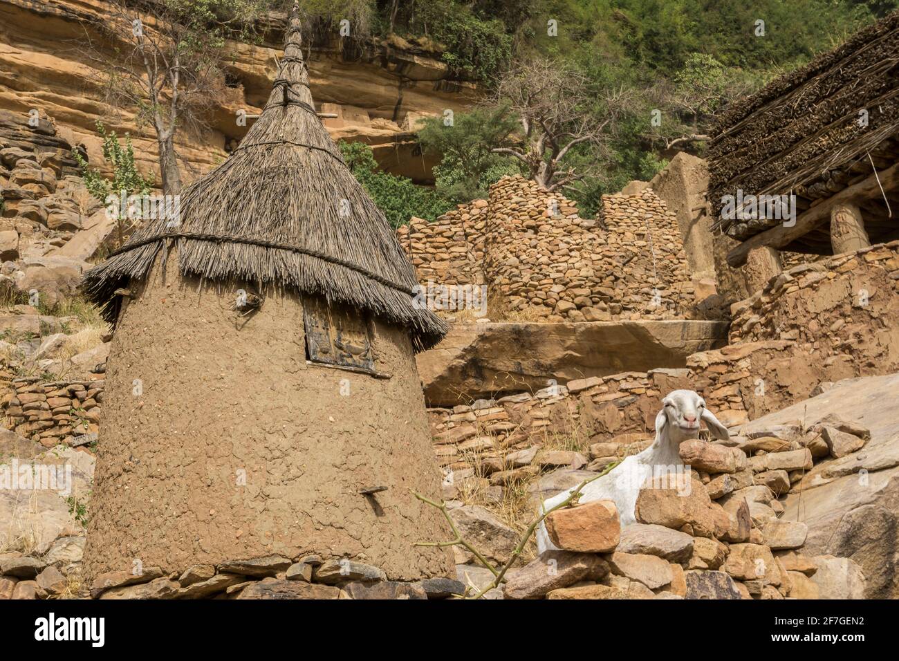 Dogon village and typical mud buildings, Tireli, Mali, Africa Stock ...