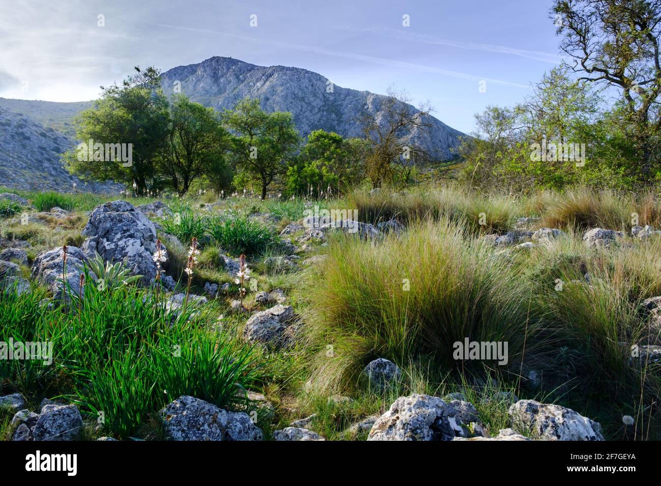 Hiking La Cuna trail above Zafarraya pass between Andalucía and Granada ...