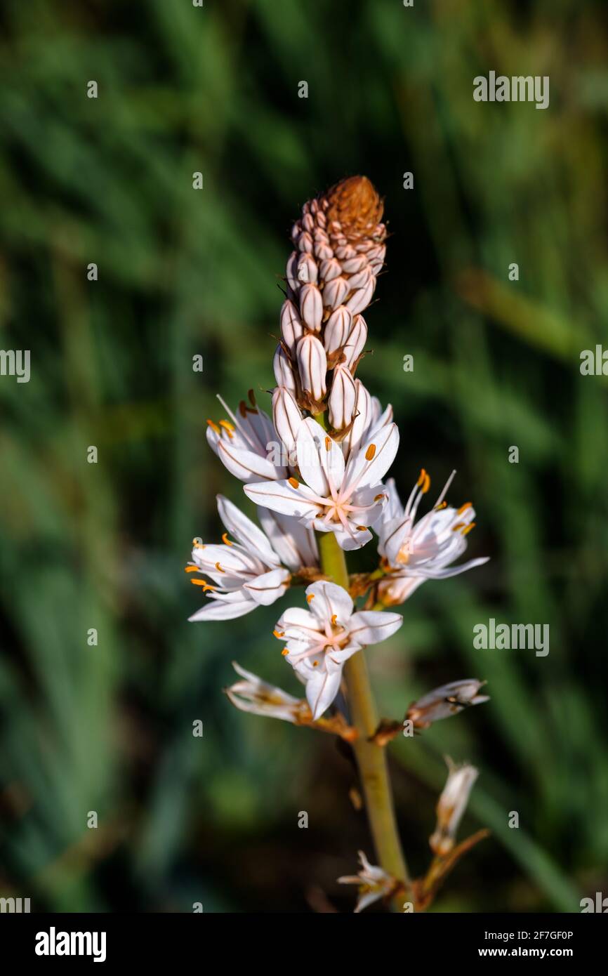 Hiking La Cuna trail above Zafarraya pass between Andalucía and Granada ...