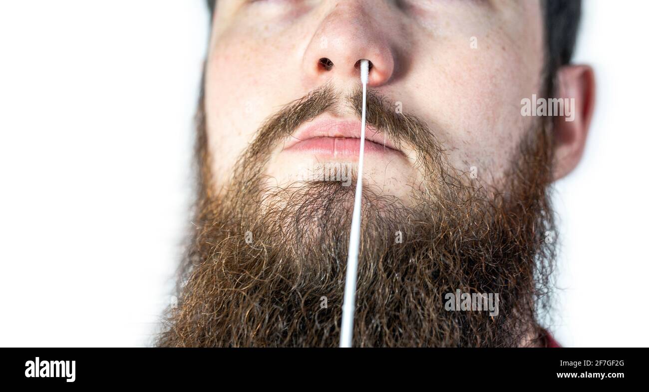 Covid-19 nasal swab test, taking nasal mucus test sample, Cotton swab ...