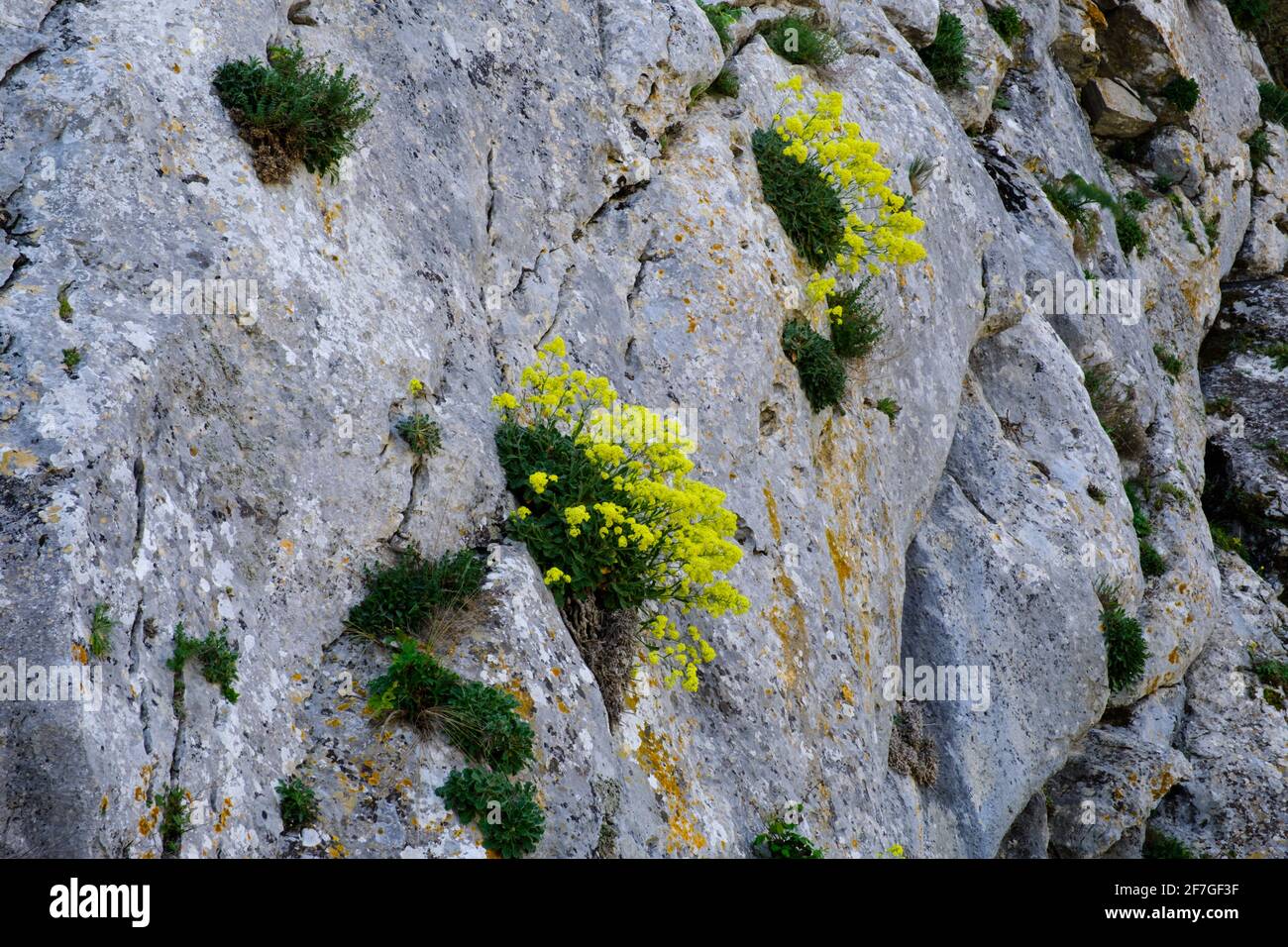 Hiking La Cuna trail above Zafarraya pass between Andalucía and Granada ...