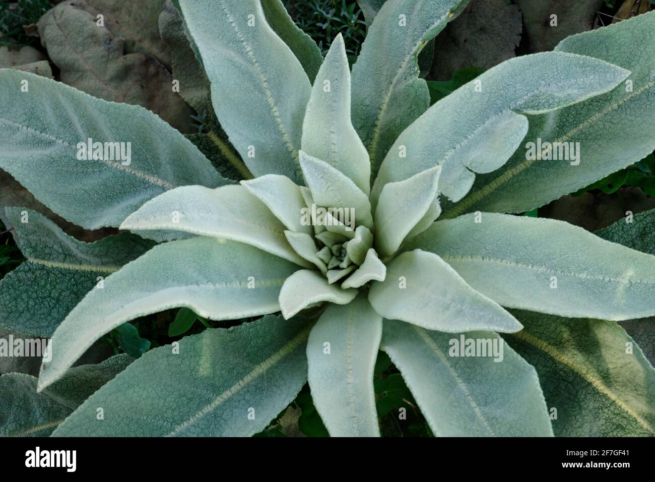 Hiking La Cuna trail above Zafarraya pass between Andalucía and Granada ...