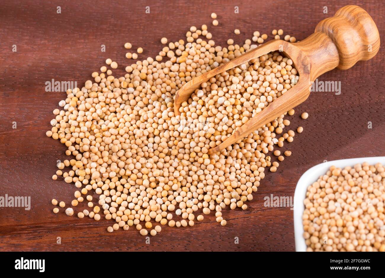 Organic Dried Yellow Mustard Seeds - Sinapis alba Stock Photo - Alamy