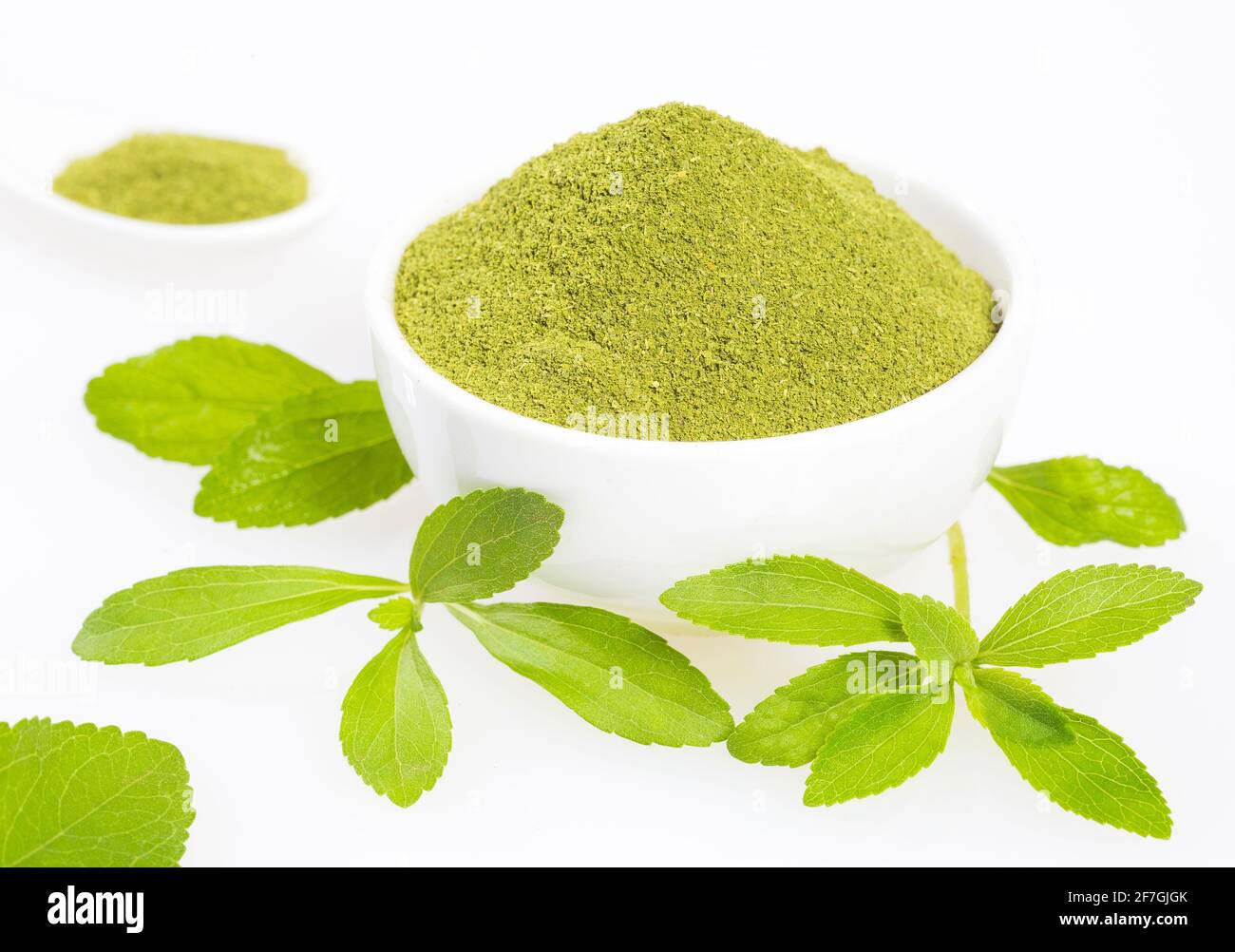 Fresh green Stevia herb and extract powder - Stevia rebaudiana. white ...