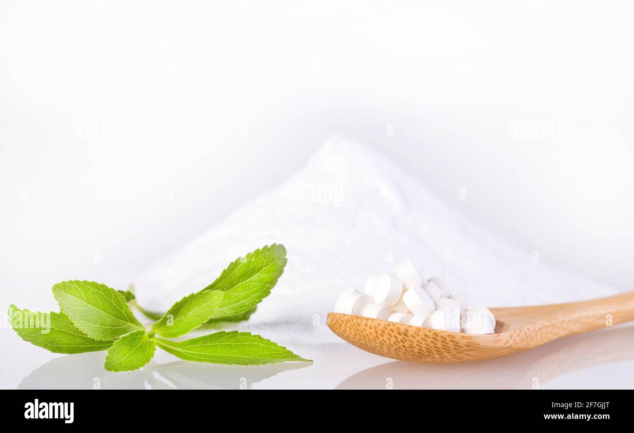 Natural sweetener in powder from stevia plant - Stevia rebaudiana. Top ...
