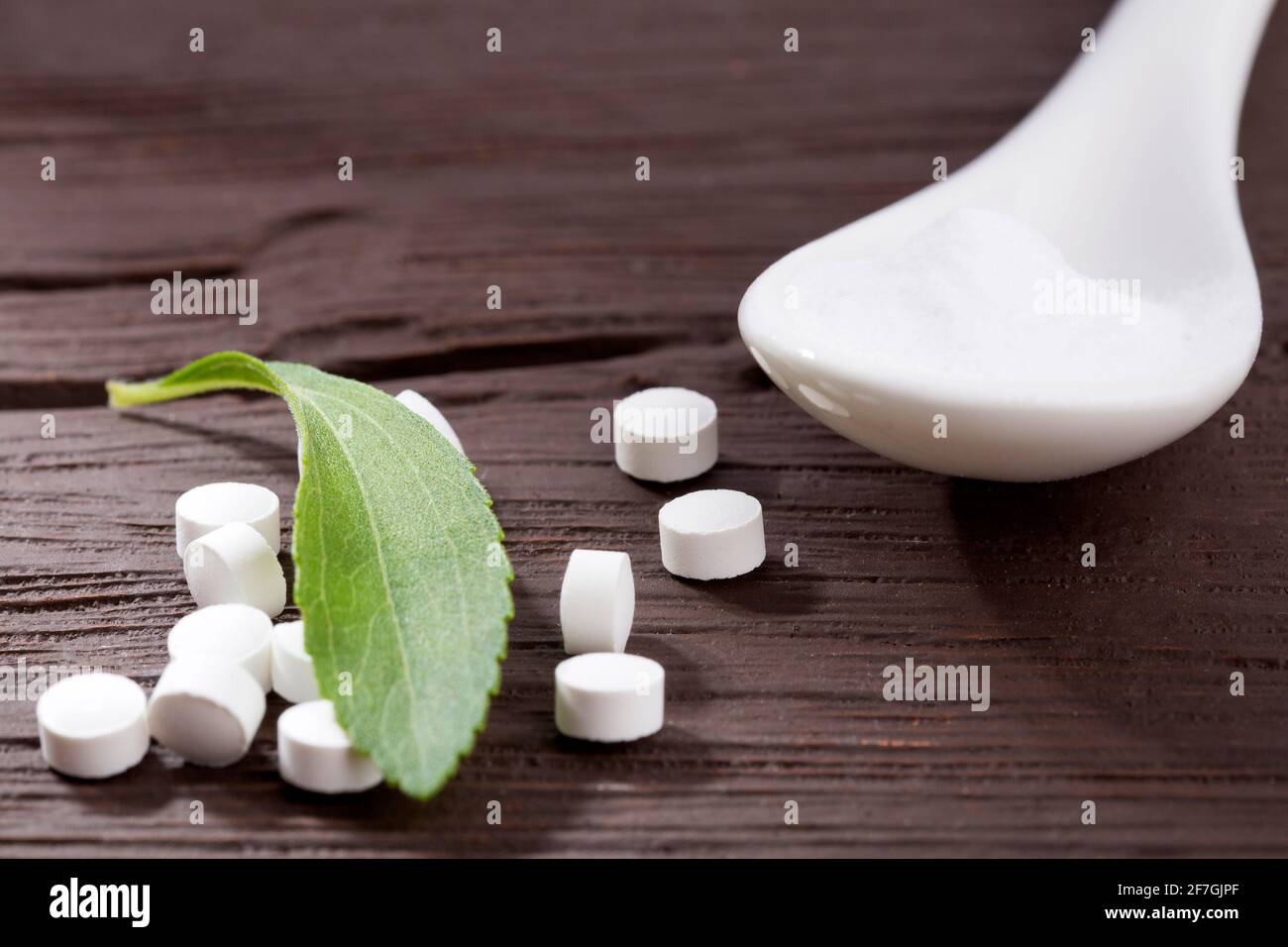 Natural sweetener in powder from stevia plant - Stevia rebaudiana Stock ...