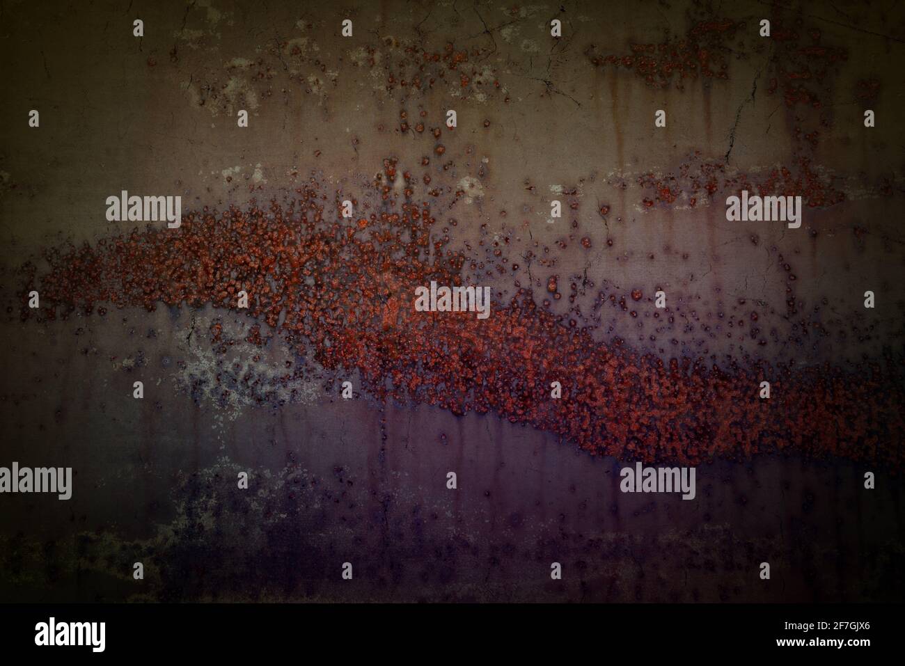 framework photographic